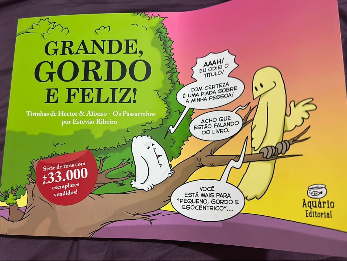 4 Quadrinhos de Os Passarinhos - Hector e Afonso - de Estevão Ribeiro | Livro Balao Editorial ...