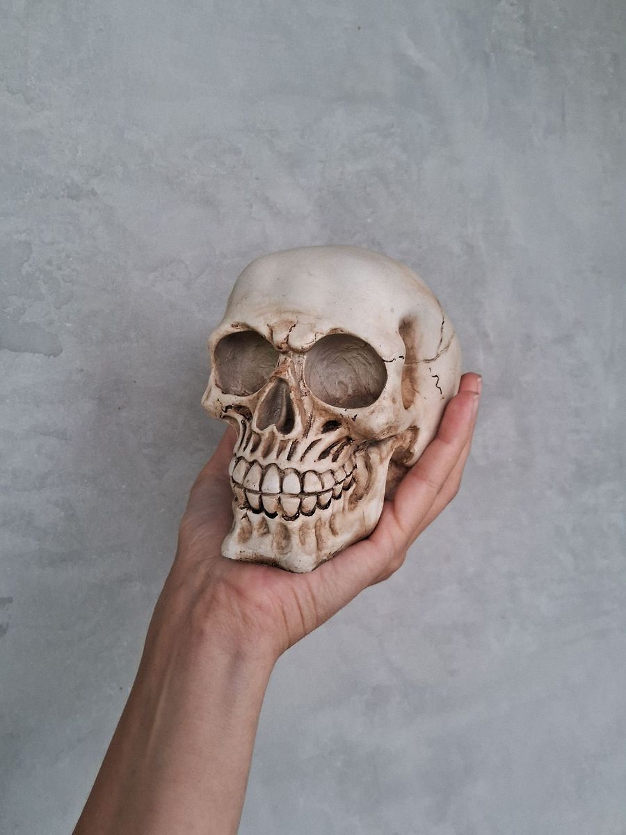 A Cabeça do Pobre Yorick | Livro Shakespeare Nunca Usado 113751315 | enjoei