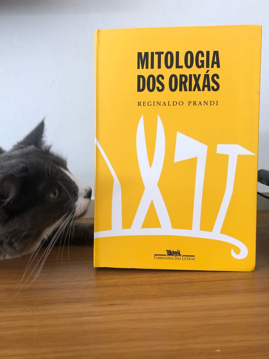 A Mitologia Dos Orixás - Reginaldo Prandi | Livro Companhia Das Letras Usado 70240536 | enjoei
