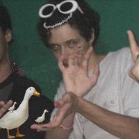 Acerola | Compre e Venda Novos & Usados | Enjoei