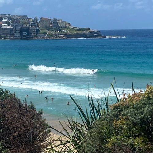 Clarisse | Compre e Venda Novos & Usados | Enjoei