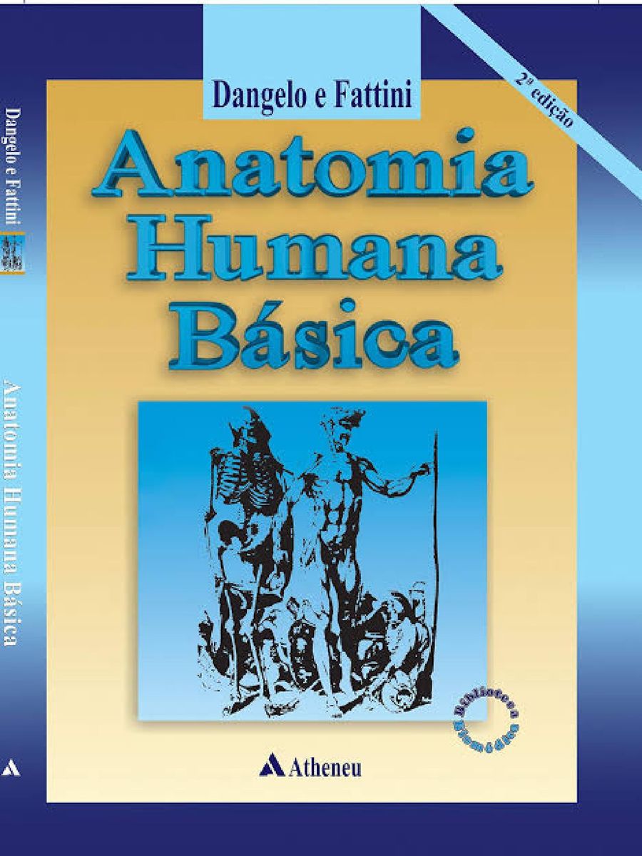Anatomia Humana Básica | Livro Ath Usado 42039436 | enjoei