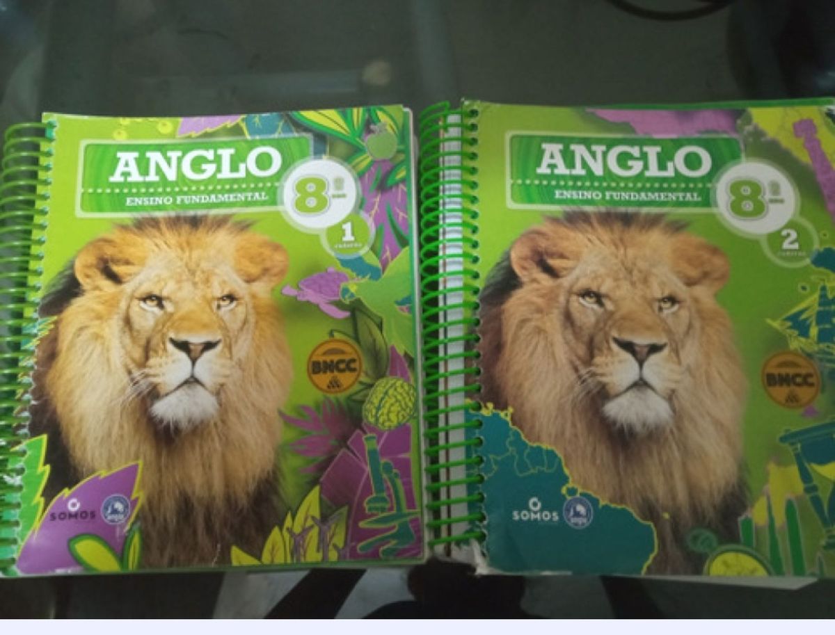 Apostilas Anglo 8 Ano (2021) | Livro Anglo Nunca Usado 75348958 | enjoei