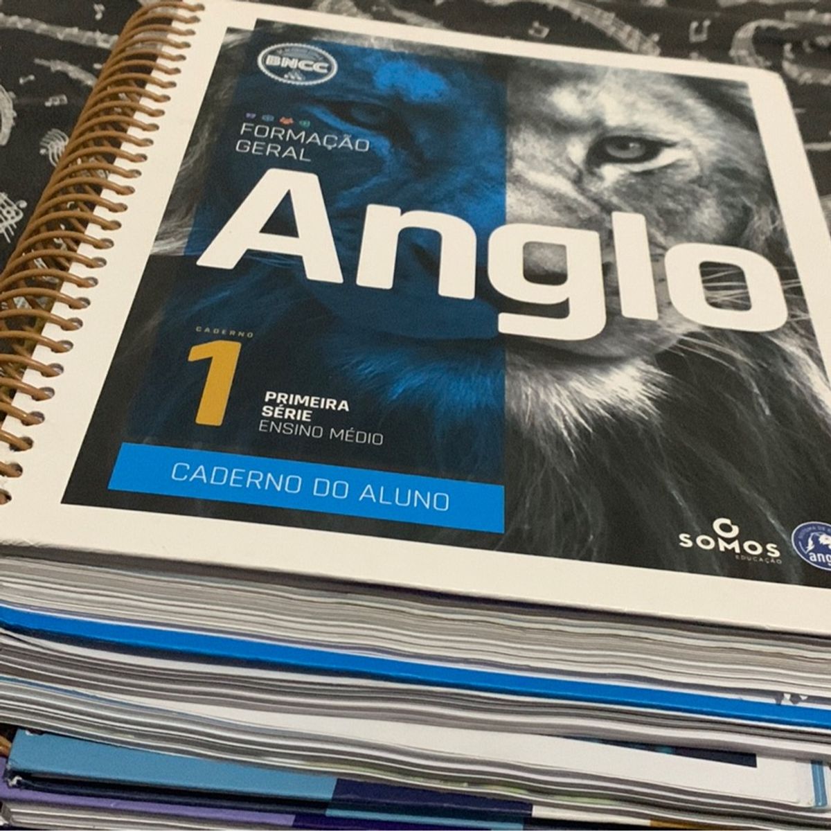 Apostilas do 1ºano do Ensino Médio, Anglo | Livro Anglo Usado 80879788 ...