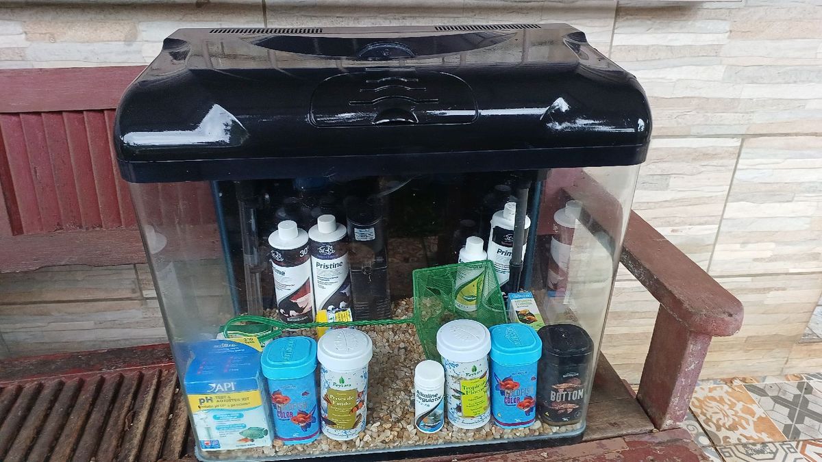 Aquário Boyu 35lts | Item p/ Pet Boyu Usado 101431512 | enjoei