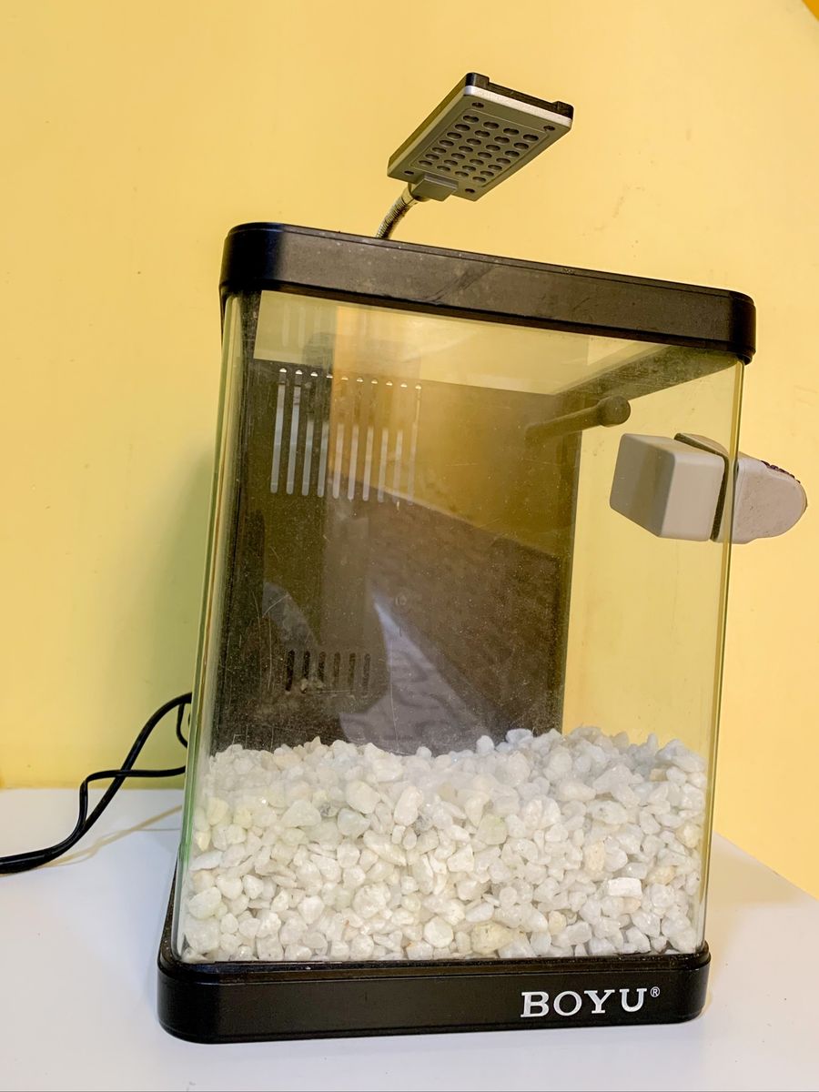 Aquário Boyu 9 Litros | Item p/ Pet Boyu Usado 52390902 | enjoei