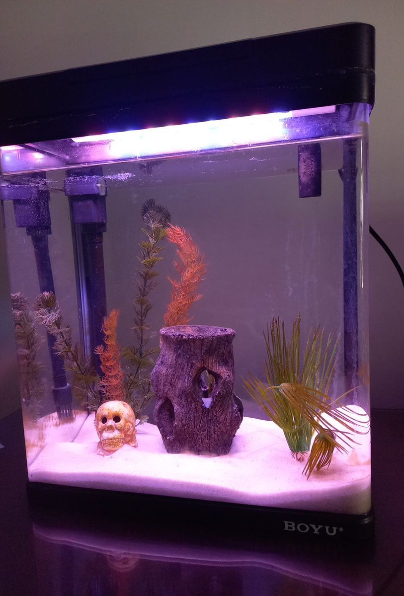 Aquario Boyu Lindissimo com Luz e Filtro Embutido | Item p/ Pet Boyu ...