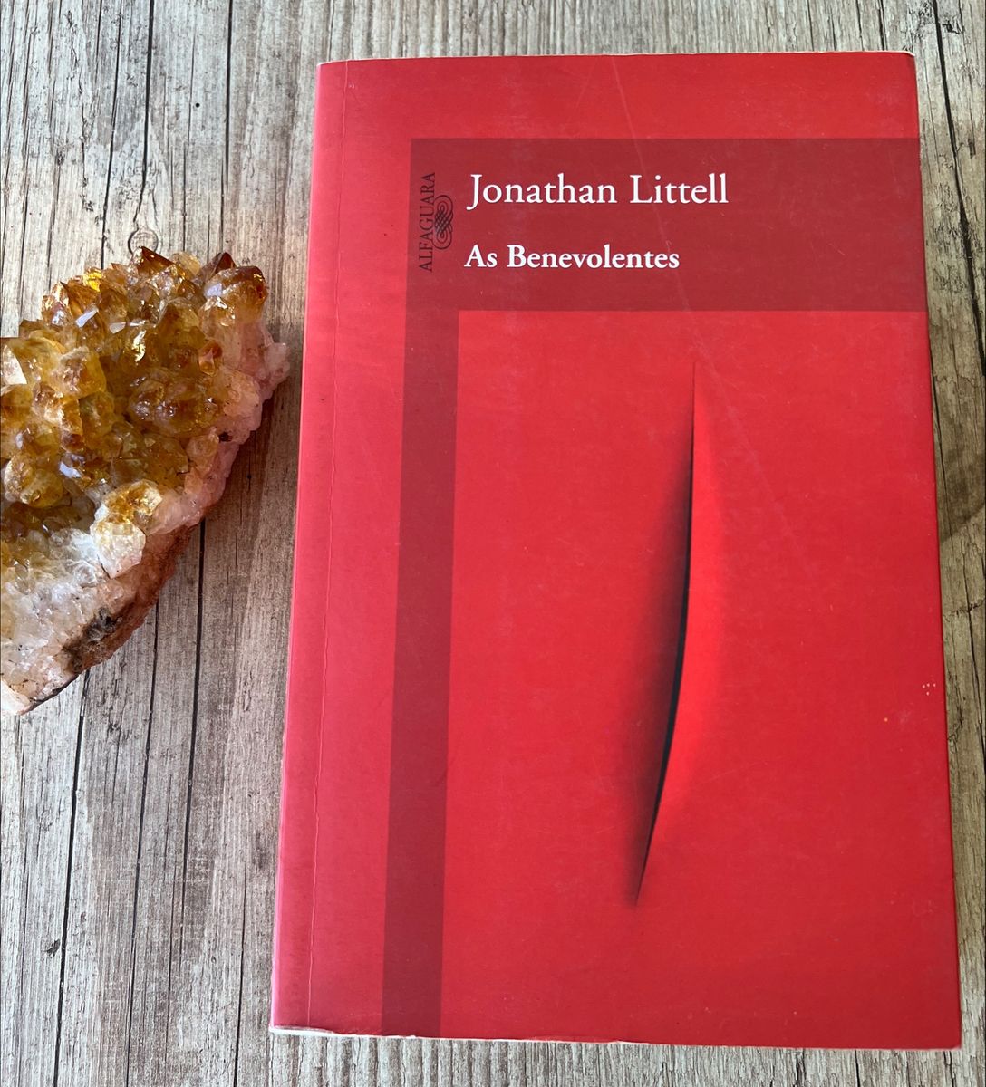 As Benevolentes Livro de Jonathan Littell | Livro Editora Alfaguara ...