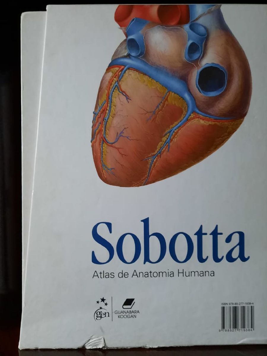 Atlas de Anatomia Humana - 3 Volumes - Sobotta | Livro Sobotta Usado ...