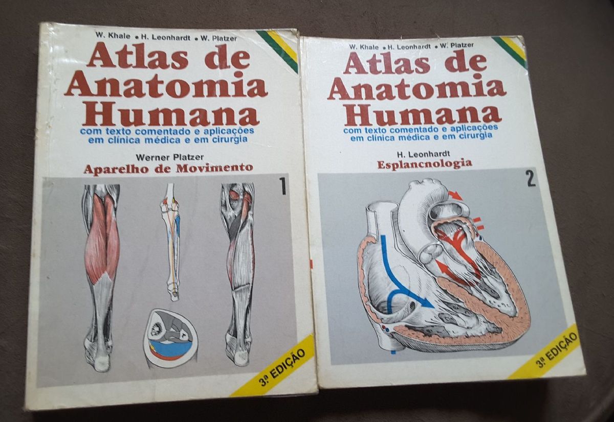 Atlas De Anatomia Humana Livro Usado 62206644 Enjoei