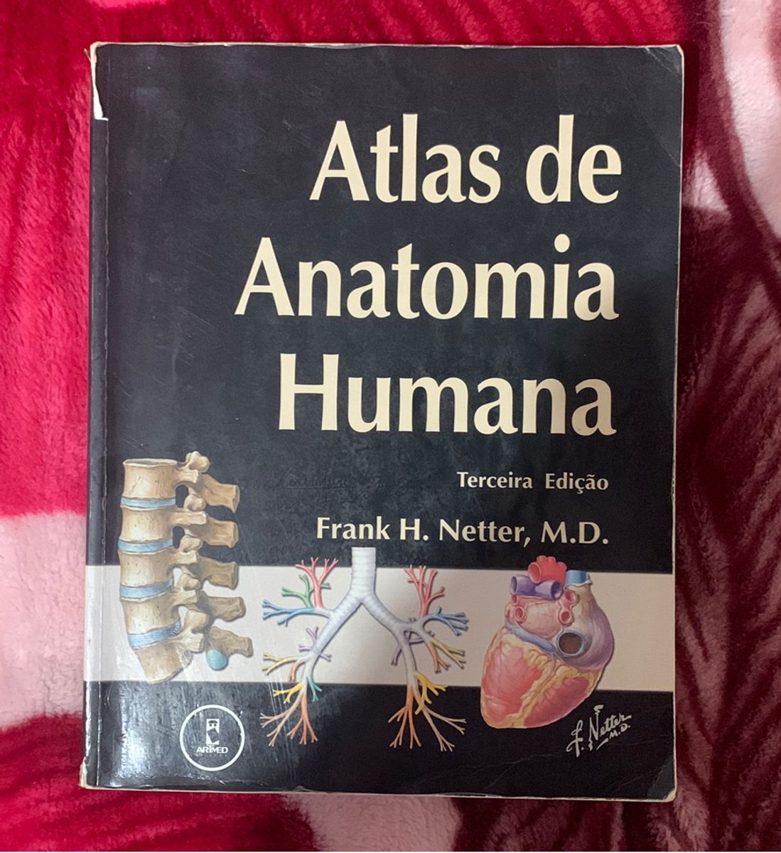 Atlas de Anatomia Netter 3 Edição | Livro Artmed Usado 78782335 | enjoei Atlas de Anatomia Netter 3 Edição | Livro Artmed Usado 78782335 | enjoei
