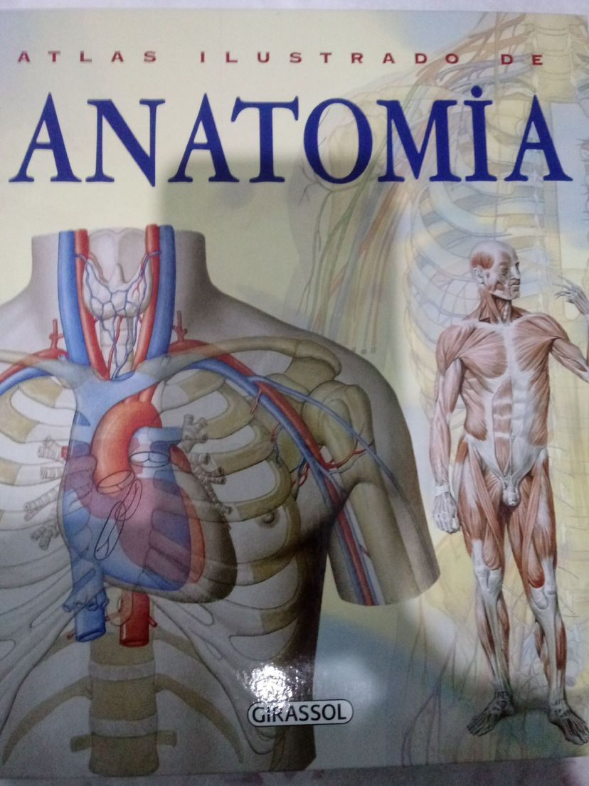 Atlas Ilustrado de Anatomia. | Livro Girassol. Nunca Usado 67122792 ...