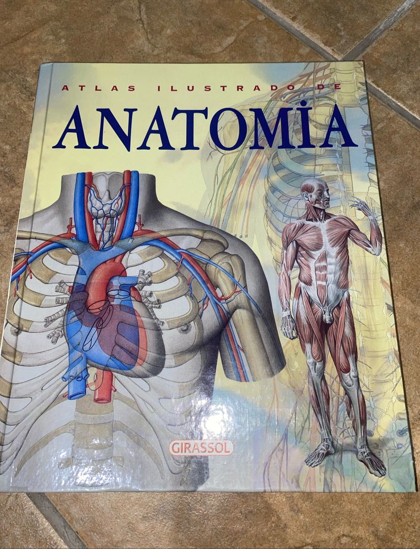 Atlas Ilustrado de Anatomia | Livro Girassol Usado 71644735 | enjoei