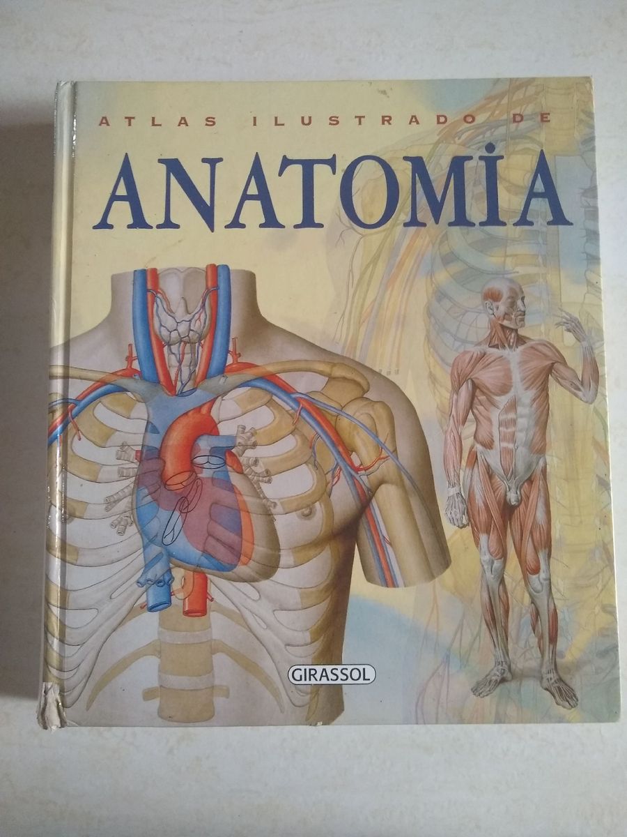 Atlas Ilustrado de Anatomia | Livro Girassol Usado 42534823 | enjoei