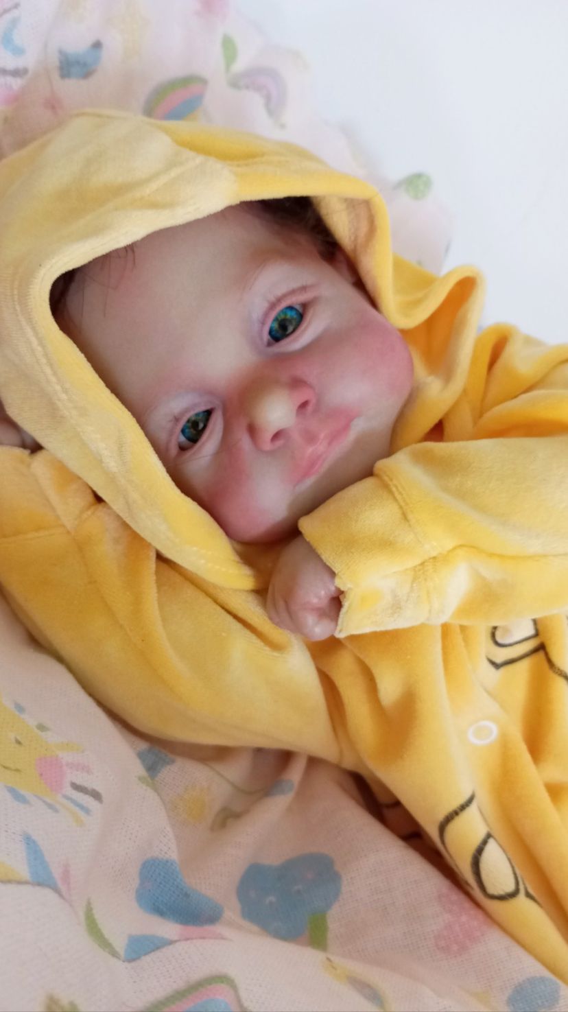 Bebê Reborn Kit Lily Detalhes Realistas | Brinquedo Ci Sonhos Reborn ...
