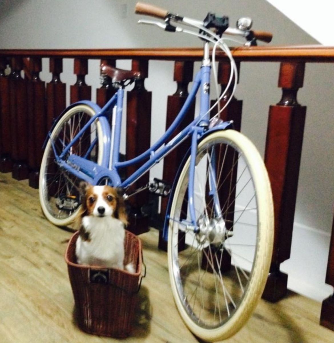 Bicicleta Pashley Poppy 3v Pastel Blue - Usada | Produto Feminino ...