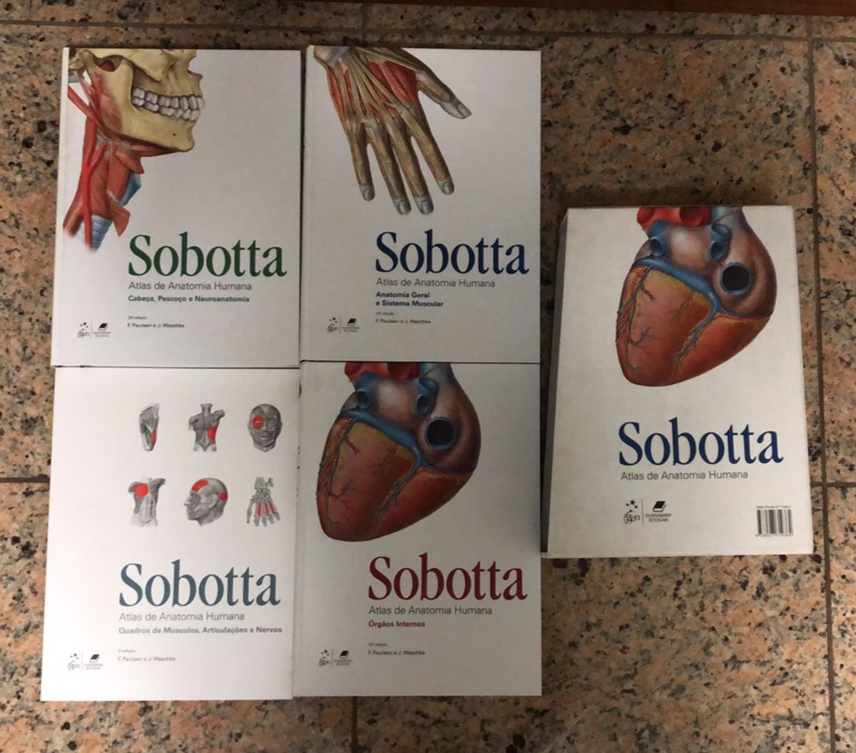 Box Sobotta Atlas de Anatomia Humana | Livro Usado 52773141 | enjoei