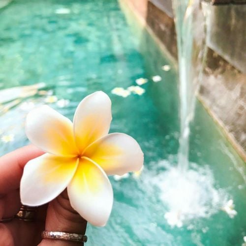 Elizabeth | Compre e Venda Novos & Usados | Enjoei