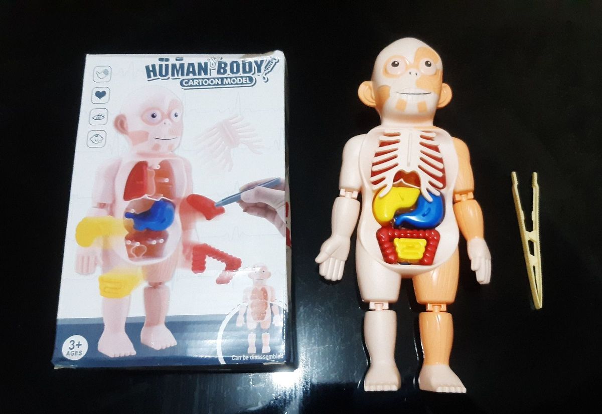 Brinquedo Boneco Corpo Humano | Brinquedo Usado 81009344 | enjoei