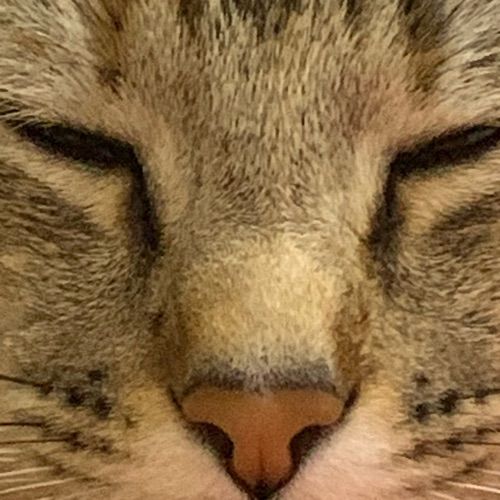 Mjdjd | Compre e Venda Novos & Usados | Enjoei