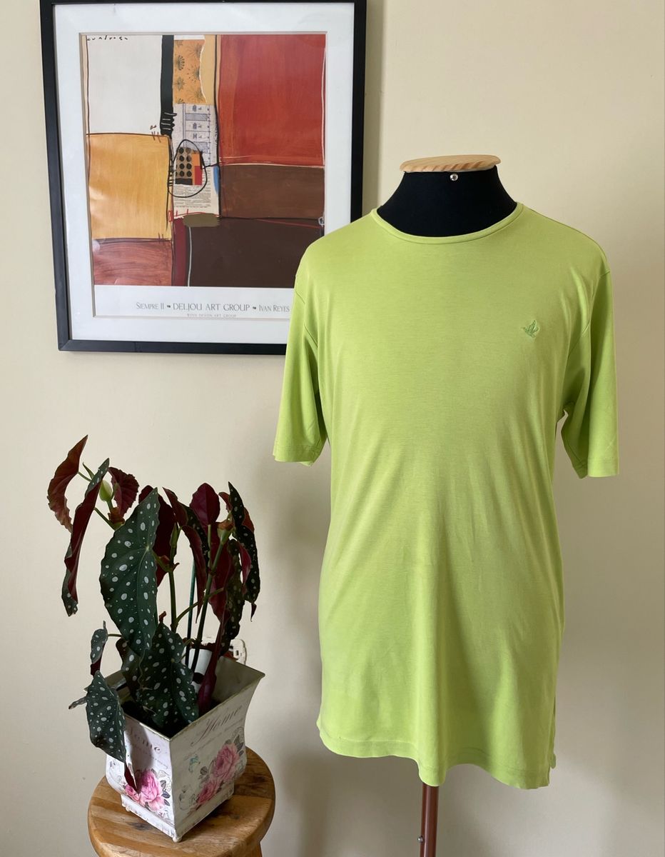 Camiseta Linha Gold Brooksfield Verde | Camiseta Masculina Brooksfield ...