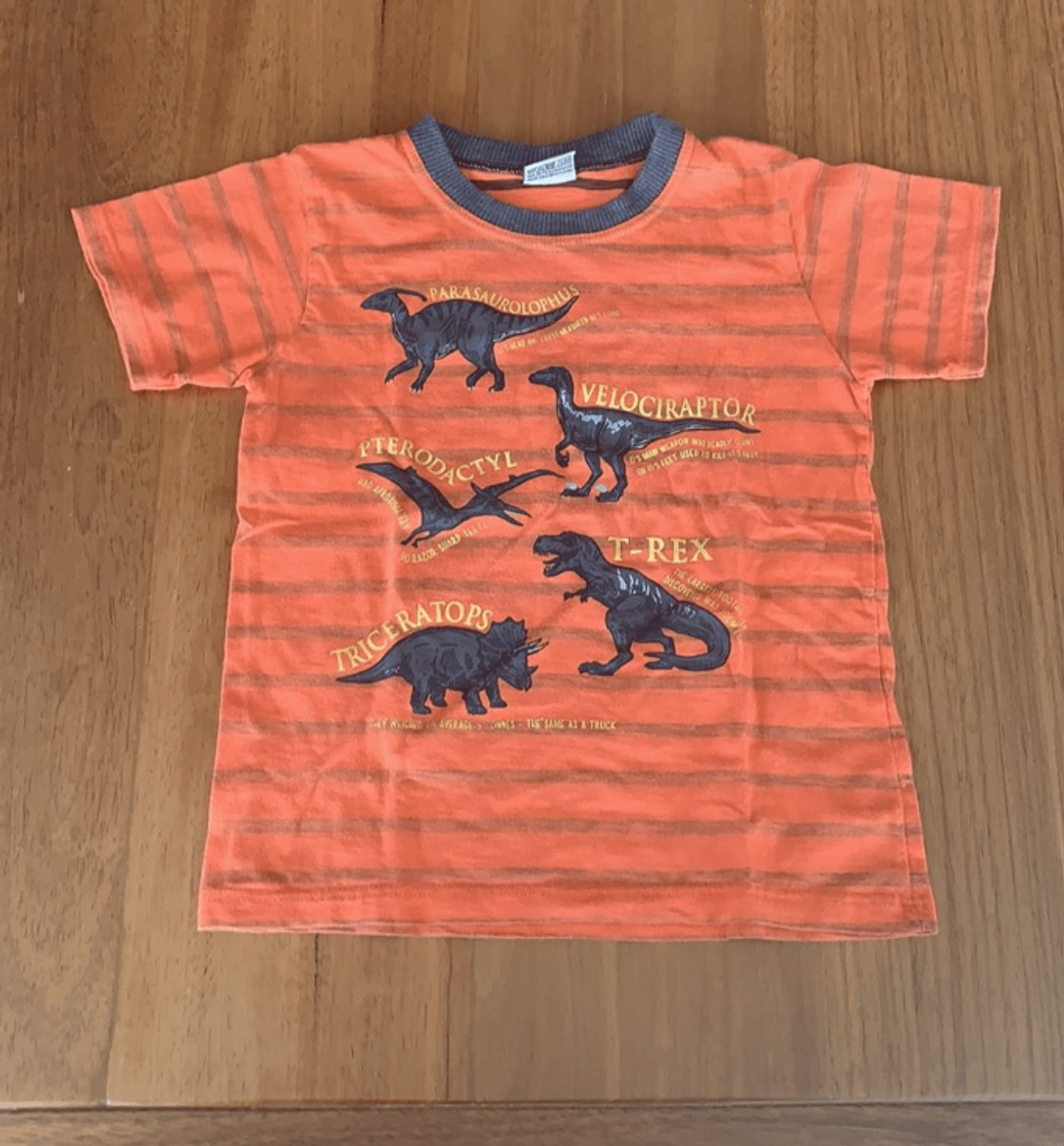 Camiseta Menino Kids 3 Anos Algodão | Roupa Infantil para Menino Have ...