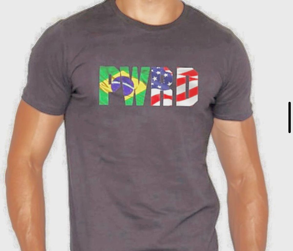 Camiseta Powered (pwrd) By Coffee - Masculina - Cinza - Logo - G ...