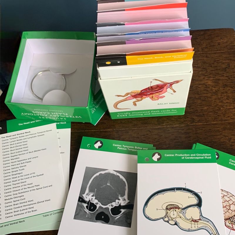 Veterinary Anatomy Flash Cards Veterinary Anatomy Flash Cards Af