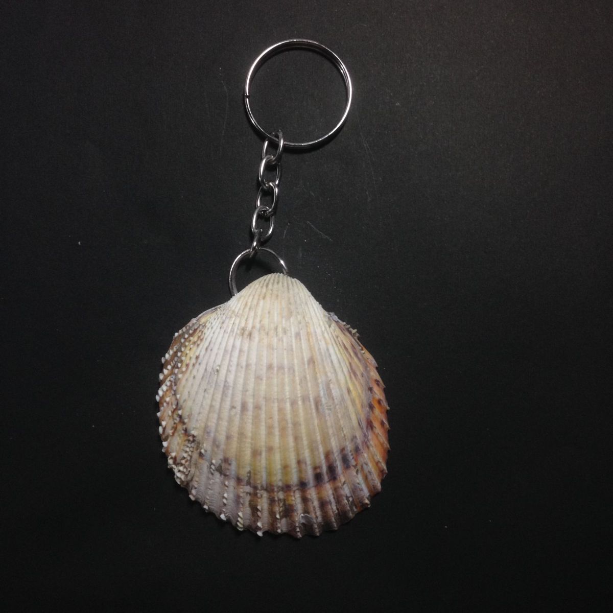 Chaveiro Concha Peruana | Bijuteria Feminina Nunca Usado 16856108 | enjoei