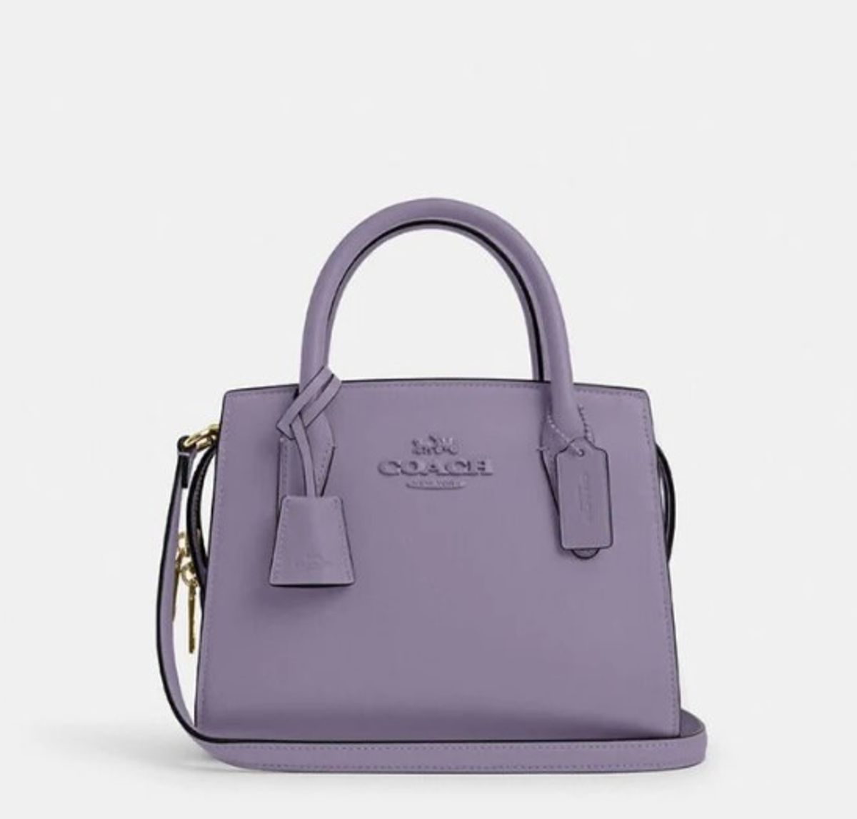 Coach Couro Andrea Carryall Pequena Bolsa/bolsa Crossbody Violeta Claro ...