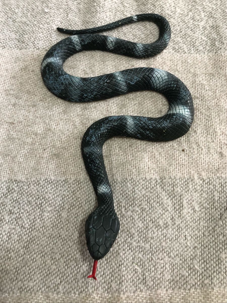 Cobra de Plástico Fake | Item p/ Pet Cobra Usado 46484951 | enjoei