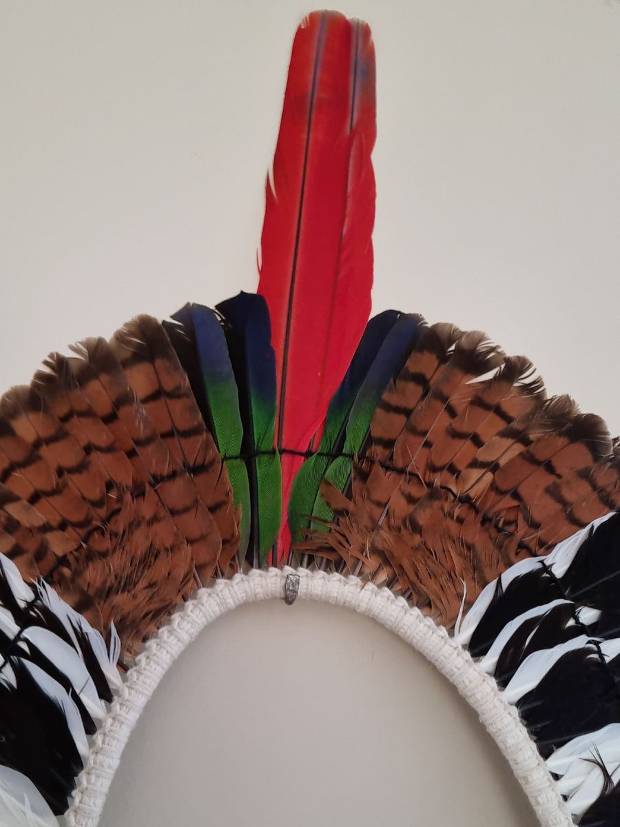 Cocar de Penas de Aves Variadas, Inclusive Arara Vermelha | Jóia ...