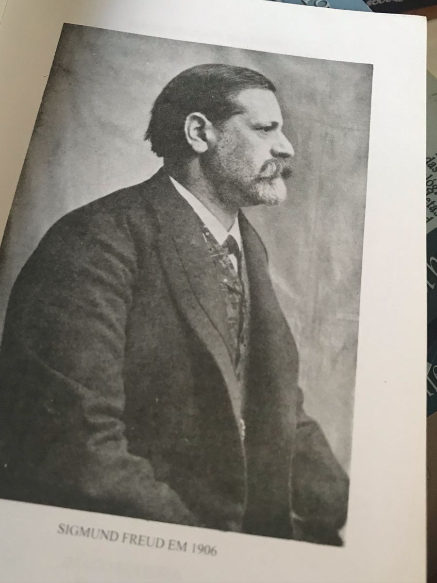 Coleção Freud Standard Imago | Livro Editora Imago Usado 49878154 | enjoei