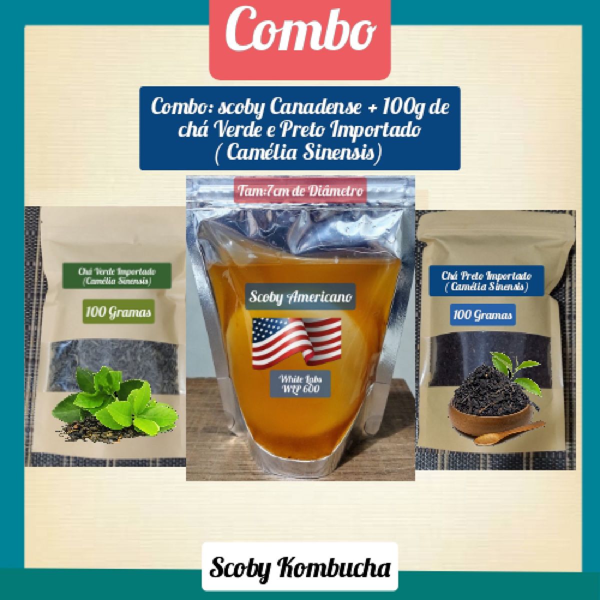 Combo: Scoby Americano ( White Labs) + 100g de Chá Verde e Preto ...