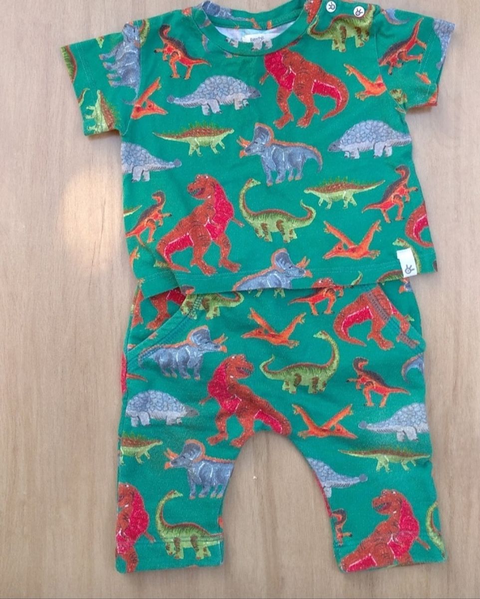 Conjunto Dinossauro Bento | Roupa Infantil para Bebê Bento Usado ...