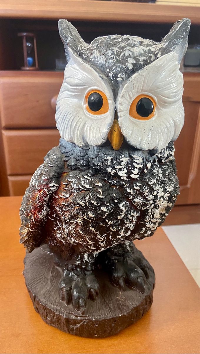Coruja de Decoração (pesa Uns 3kg) | Item de Decoração Usado 83264586 ...