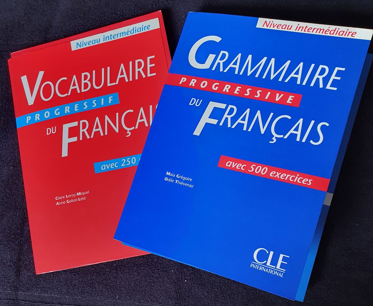 Curso de Francês Nível Intermediário com Exercícios e Caderno de ...