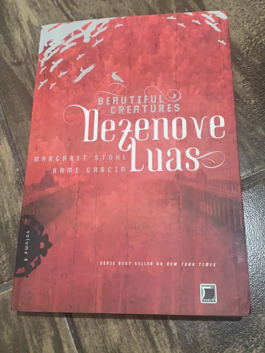 Dezenove Luas de Margareth Stohl | Livro Dezenove Luas Usado 75503022 | enjoei