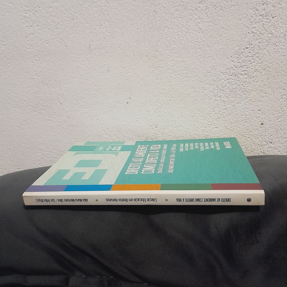 Direito Ao Ambiente Como Direito À Vida: Desafios para a Educação em ...