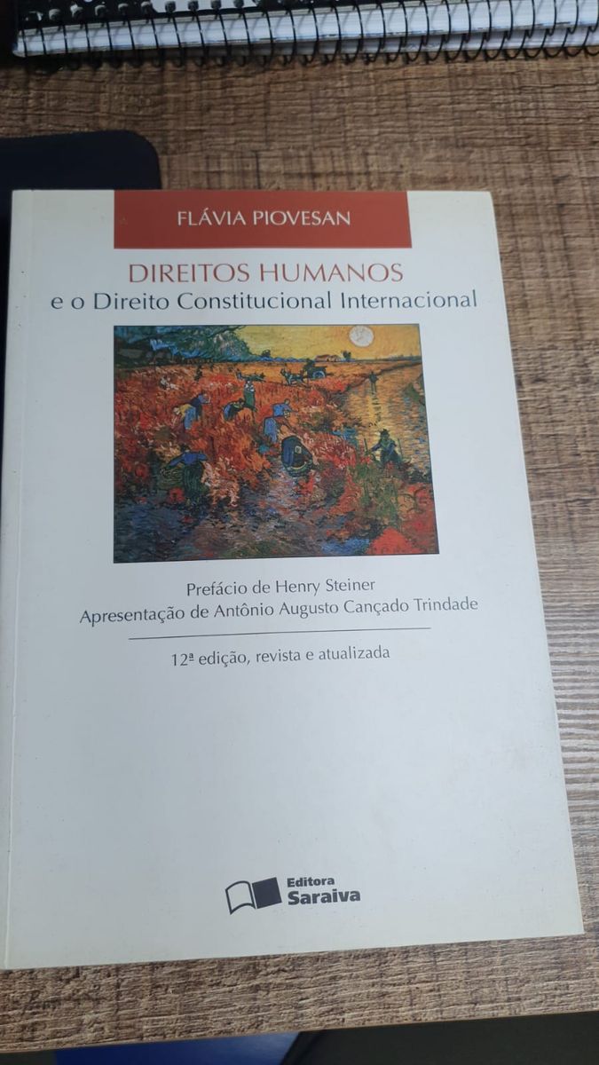 Direitos Humanos e O Direito Constitucional Internacional | Flávia ...