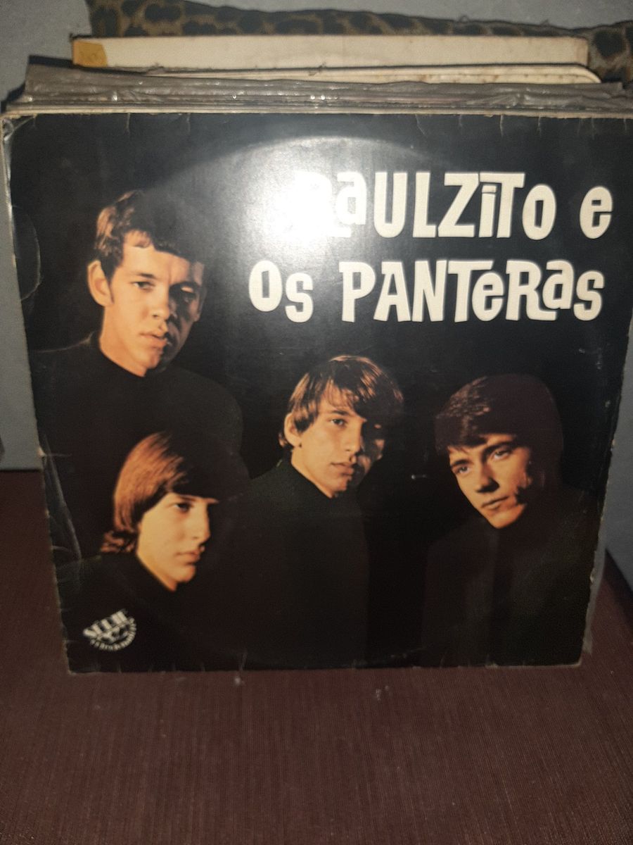 Disco de Vinil Raulzito É Os Panteras | Item de Música Usado 65861309 ...