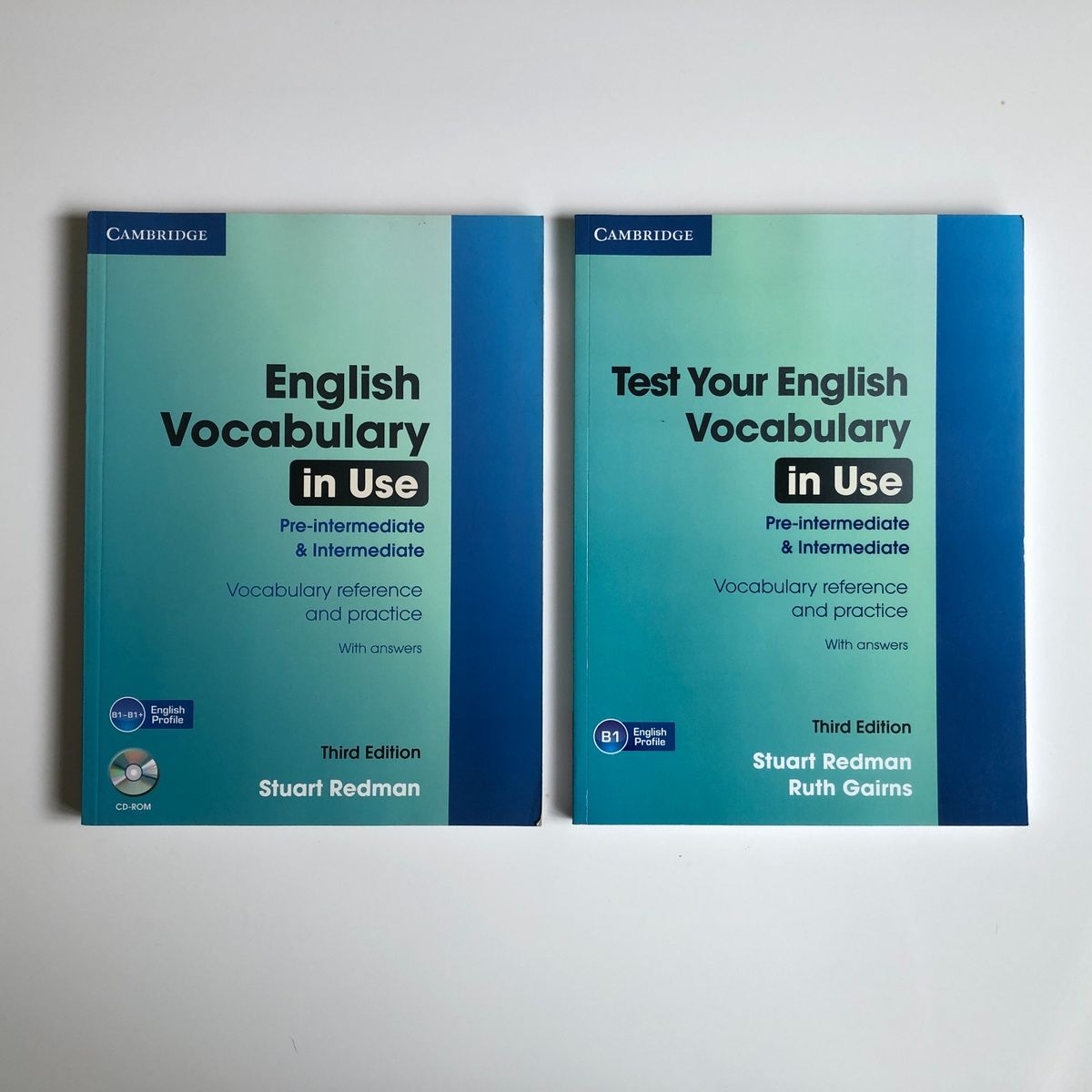 English Vocabulary In Use Intermediate + Tests Book | Livro Cambridge ...