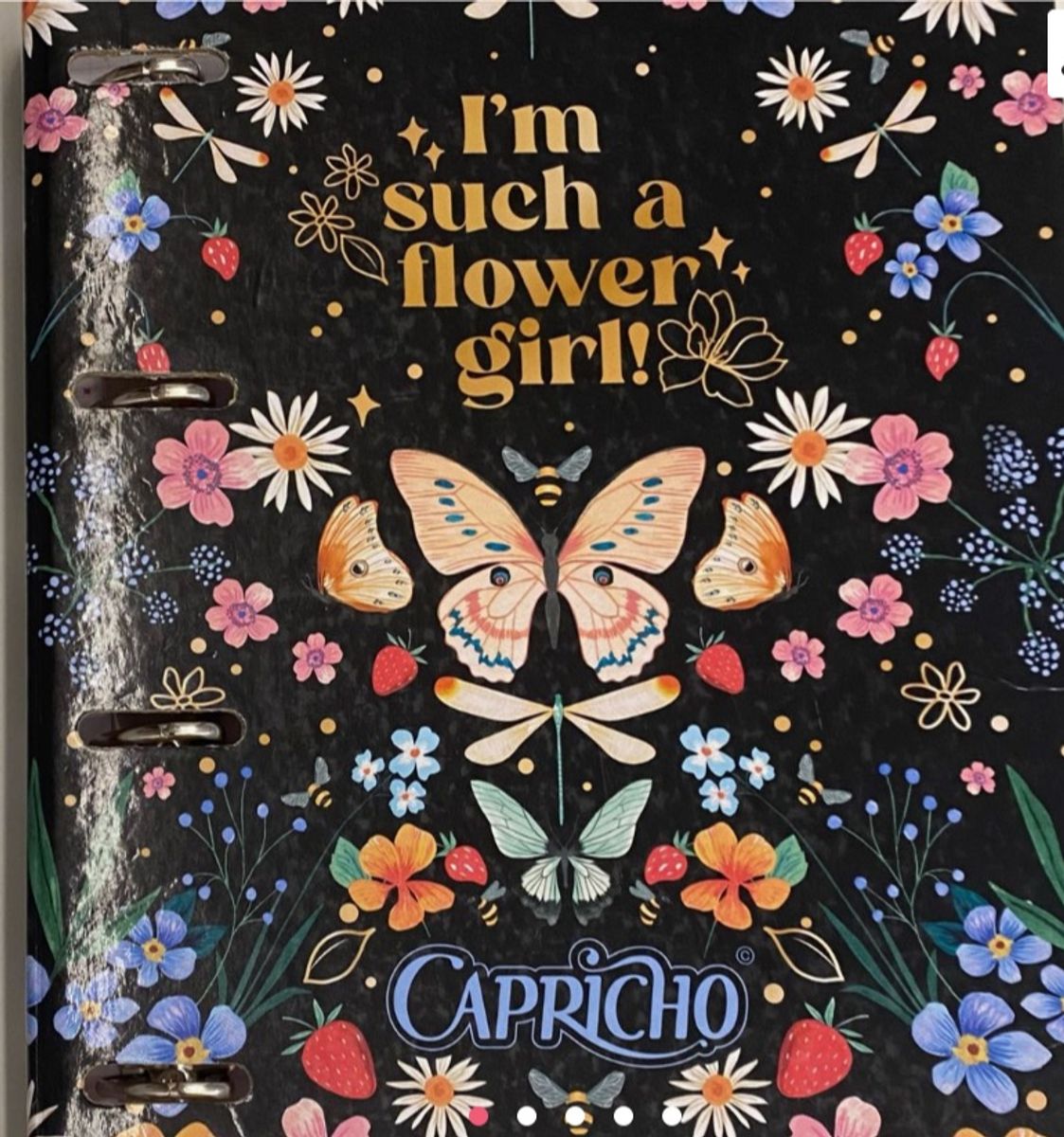 Fichário Capricho 2022 | Item de Papelaria Capricho Usado 69242439 | enjoei
