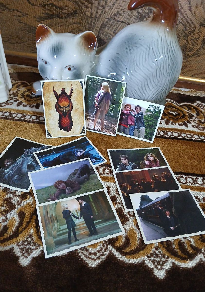 Figurinhas Harry Potter | Livro Hatty Potter Usado 117377990 | enjoei