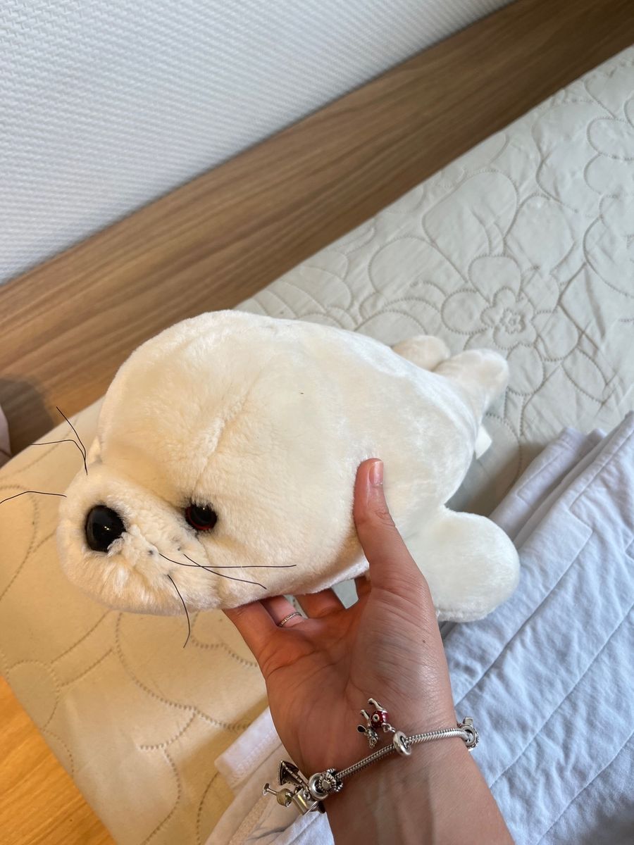 Foca de Pelucia | Pelúcia Sea World Usado 94972236 | enjoei