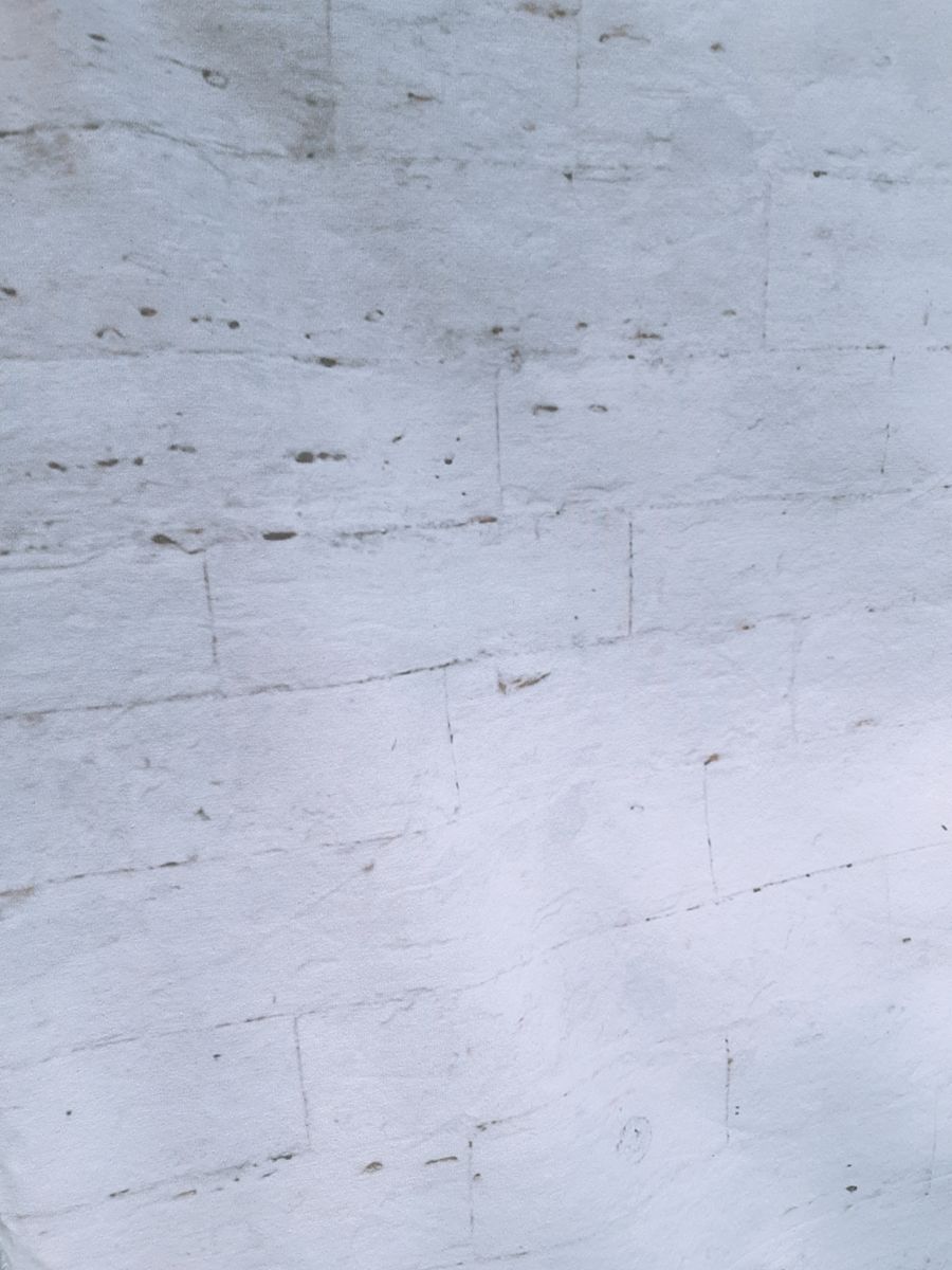 Fundo em Tecido Fotográfico Tigolo | Item de Decoração Usado 77076340 ...