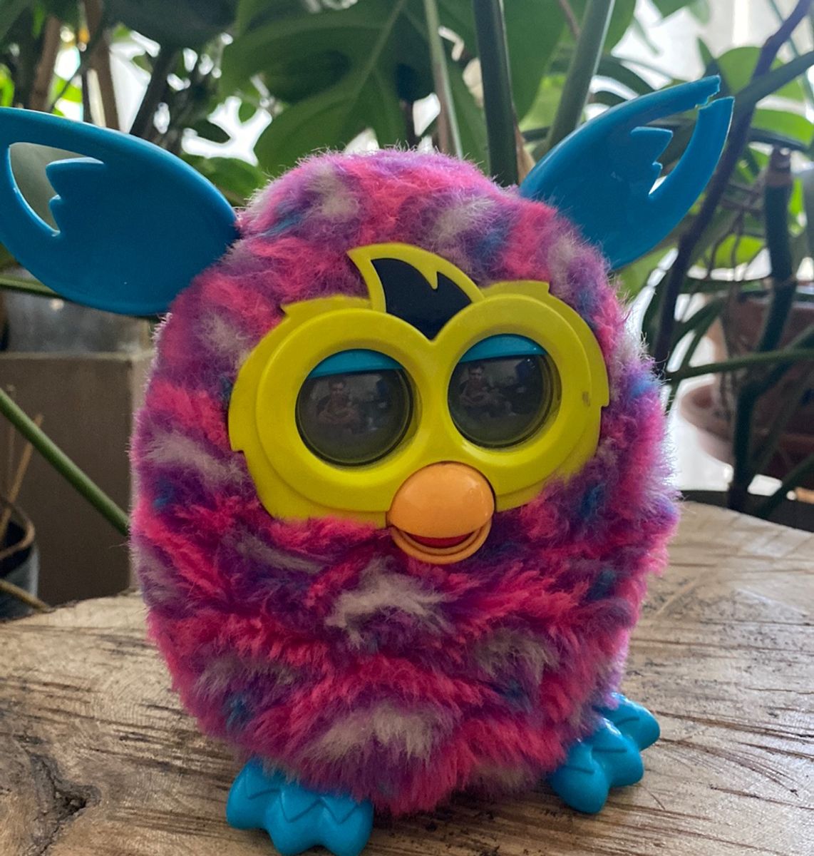 Furby Boom | Brinquedo Hasbro Usado 77209480 | enjoei