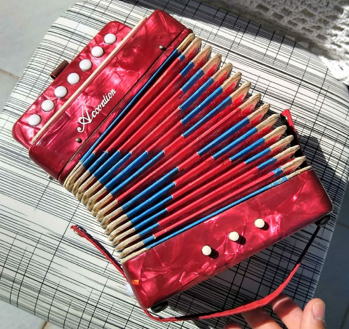 Gaita Acordeon Infantil | Brinquedo Acordeon Usado 81551258 | enjoei