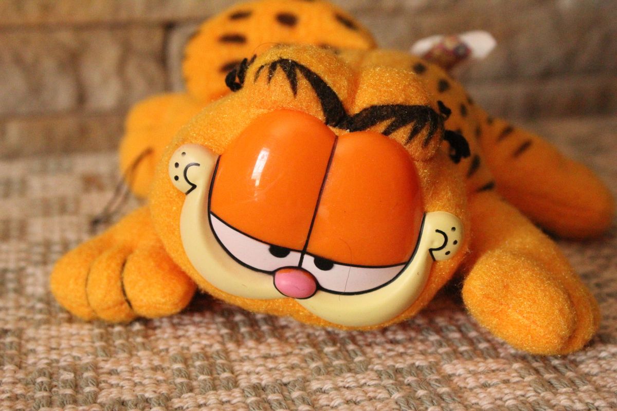 Garfield | Pelúcia Garfield Usado 19419845 | enjoei