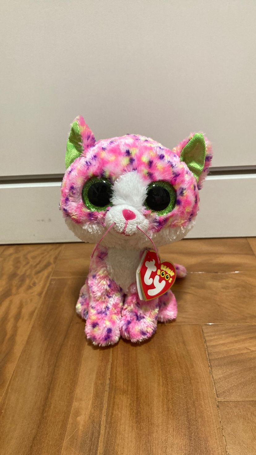Gato Beanie Boo Ty | Pelúcia Ty Nunca Usado 84172046 | enjoei